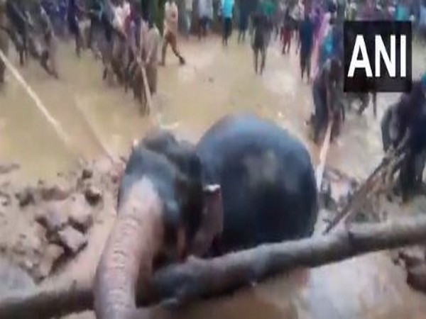 Odisha: Elephant rescued from well by villagers, forest officials in ...
