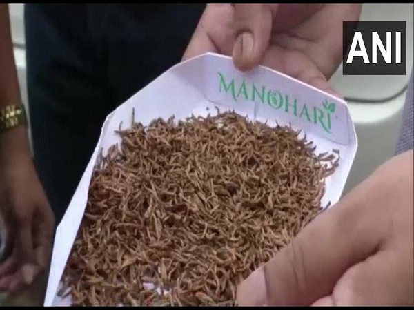 Manohari Gold Tea auctioned for record price of Rs 75,000 per kg
