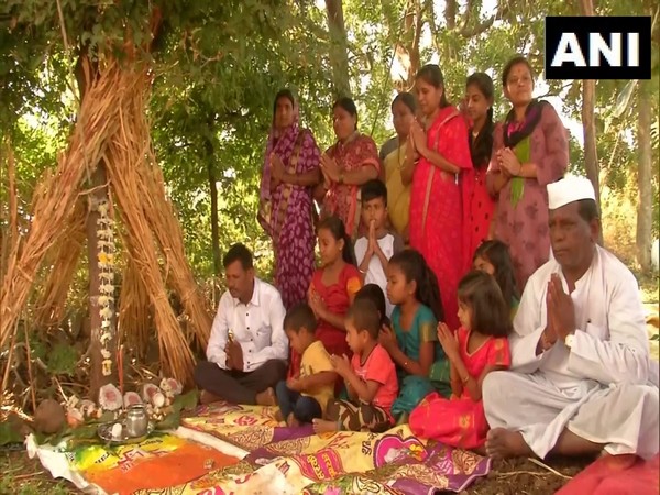 Yellu Amavasya celebrated in Karnataka's Kalaburagi with religious fervour