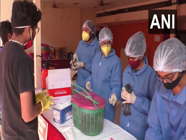 NGO in Surat rescues birds injured by kite string