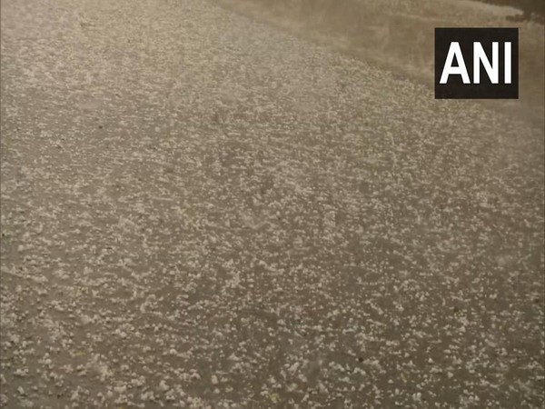 Dust storm, rain, hail hit parts of Delhi
