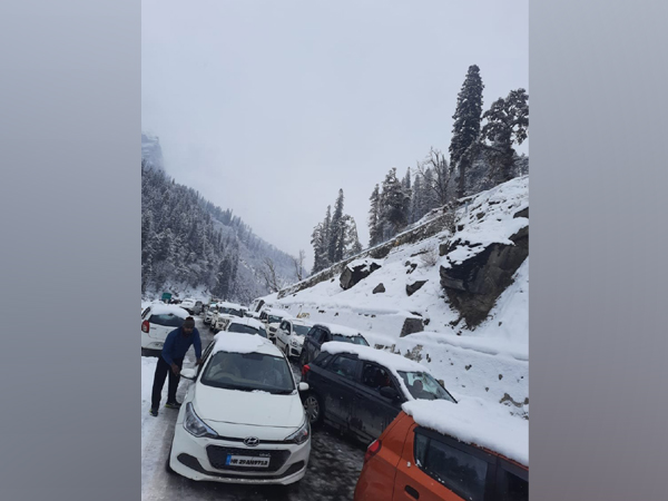 82 tourist vehicles stranded due to snowfall in Atal Tunnel rescued in Himachal