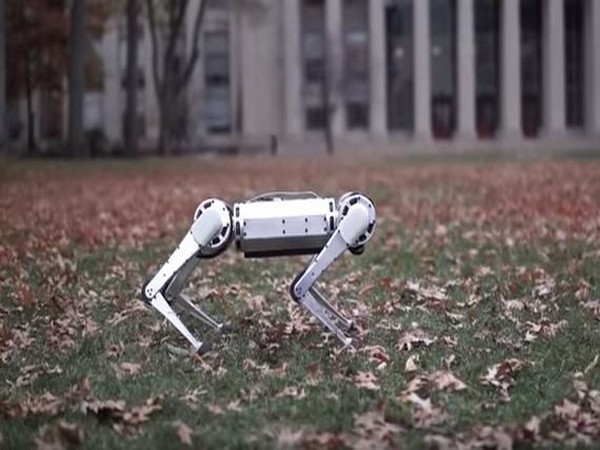 MIT’s new Mini Cheetah robot can do backflips
