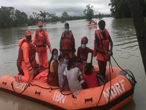 NDRF carry out rescue operation in Assam's flood-affected areas