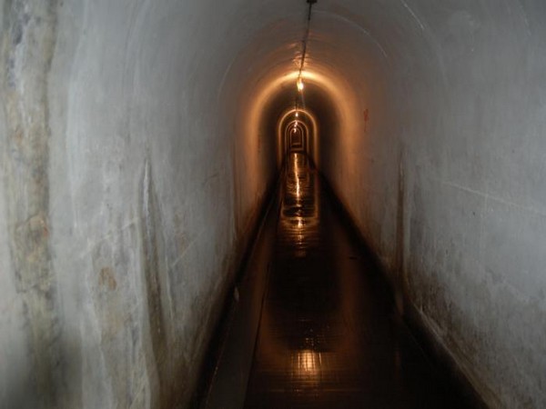 Karnataka: Narayanpur Dam's outflow increases water level in Krishna river