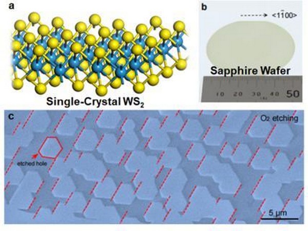S Korean-Chinese research team develop next generation semiconductor ...