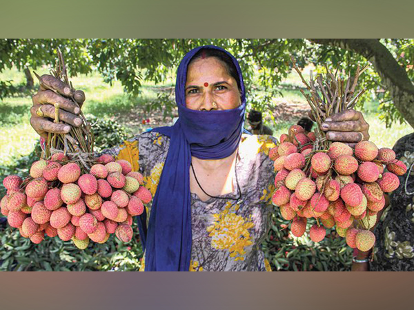 Coca-Cola India's Project Unnati has touched the lives of 3.5 lakh plus ...