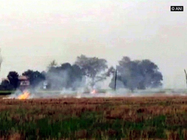 Paddy residue burning reduced in Punjab, Haryana, UP: Centre