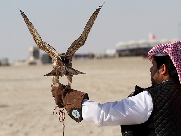 Pakistan issues hunting permits to 'Arab dignitaries' for protected ...