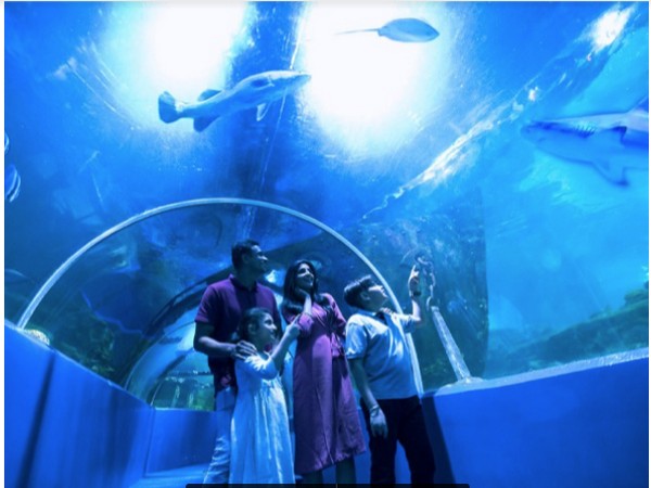 Underwater Tunnel VGP Marine Kingdom Becomes Largest Walk through underwater-tunnel-vgp-marine-kingdom-becomes-largest-walk-through