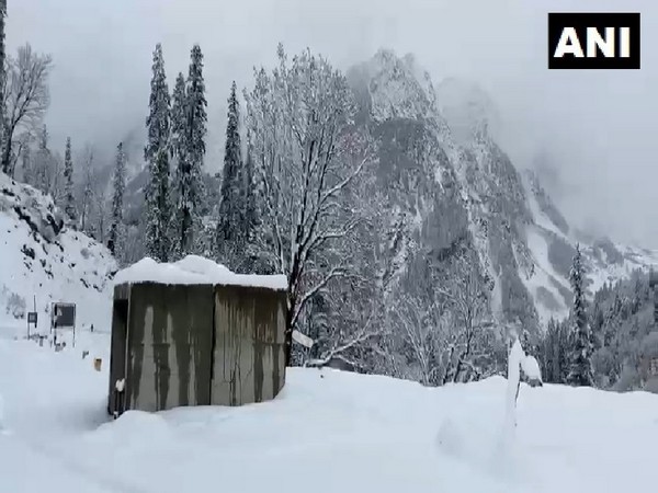 Shimla district gets first November snow in 15 years: IMD