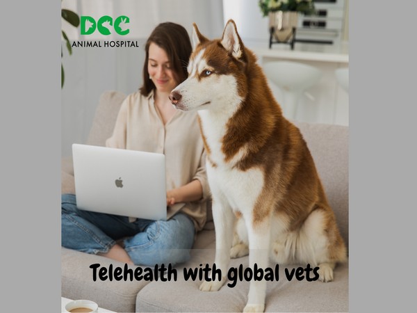 DCC Animal Hospital, extends telehealth services across India to ...