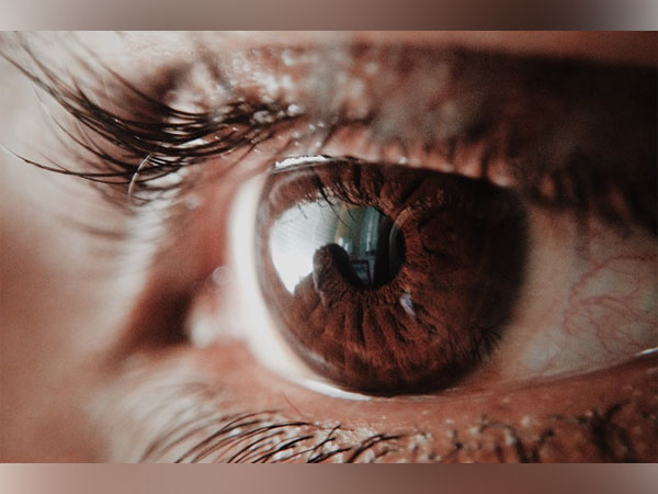 Research finds neuroscientists discovered new factors that contribute ...