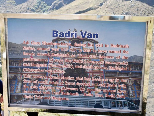 Forest Research Wing, Haldwani establishes Badri Van to showcase ...