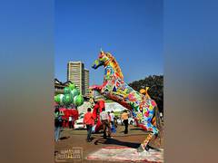 Kala Ghoda Arts Festival 2024 coming to take Mumbai on an 'Udaan'