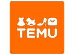 US Department of Homeland Security probes Temu for slave labour links ...