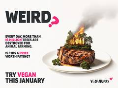 Veganuary 2025 campaign launched- questions the strange reality of food ...