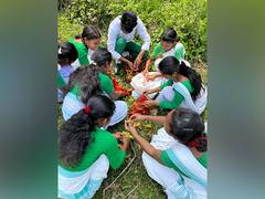 Assam: Traditional buffalo fight 'Moh-Juj'organised after nine years as ...