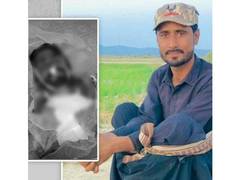 Balochistan: Pakistan security forces reportedly kill enforced ...