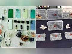 Punjab: Police bust drug racket in Sangrur Jail, senior officer held ...