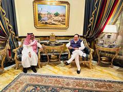 JP Nadda meets Saudi-India Business Council Chief, highlights ...
