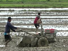 Manipur's rural economy withers as conflict keeps farmers away from fields
