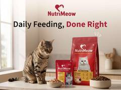 NutriMeow Enters the Indian Cat Food Market to Challenge the Gap ...