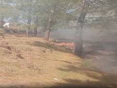 J-K: Massive forest fire erupts at multiple locations in Rajouri forest ...