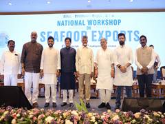 India showcases its creative economy at France's Annecy International ...