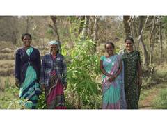 Industree Foundation Secures India's First FSC® Forest Management ...