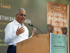 Bhupender Yadav, Arjun Ram Meghwal laud PM Modi's leadership as he ...