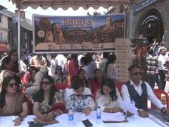 Himachal Pradesh: Dog show draws crowds at Shimla Summer Festival ...