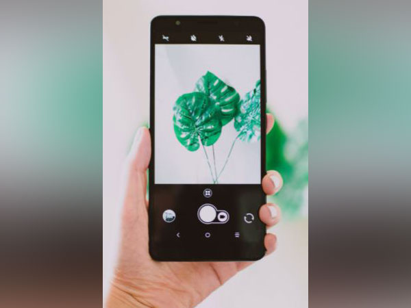 Android 12 lets users customize colour palettes for phone