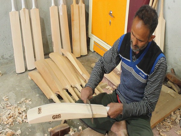 Kashmir's willow bat makes debut in ongoing T20 World Cup