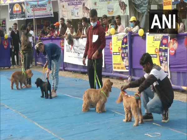 Siliguri's dog show draws huge crowd
