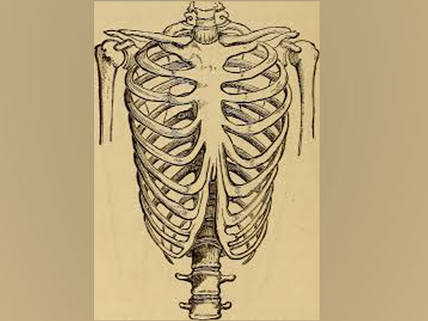 A new surgical procedure to fix broken ribs faster