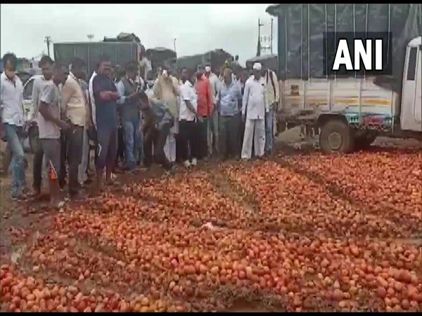 Maharashtra farmers dump tomatoes on roadside as prices of produce crash