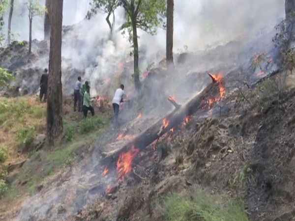 J-K: Fire breaks out in Rajouri's Sunderbani range