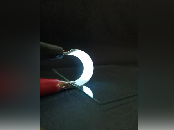 Scientists propose wearable display screens made from fish scales