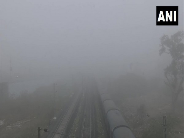 Dense fog engulfs parts of country, affects visibility