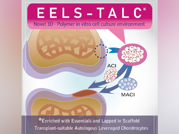 Cartilage regeneration cell therapy in ACI, MACI