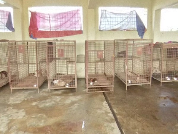 NGO in Hyderabad to start crematorium for pets soon