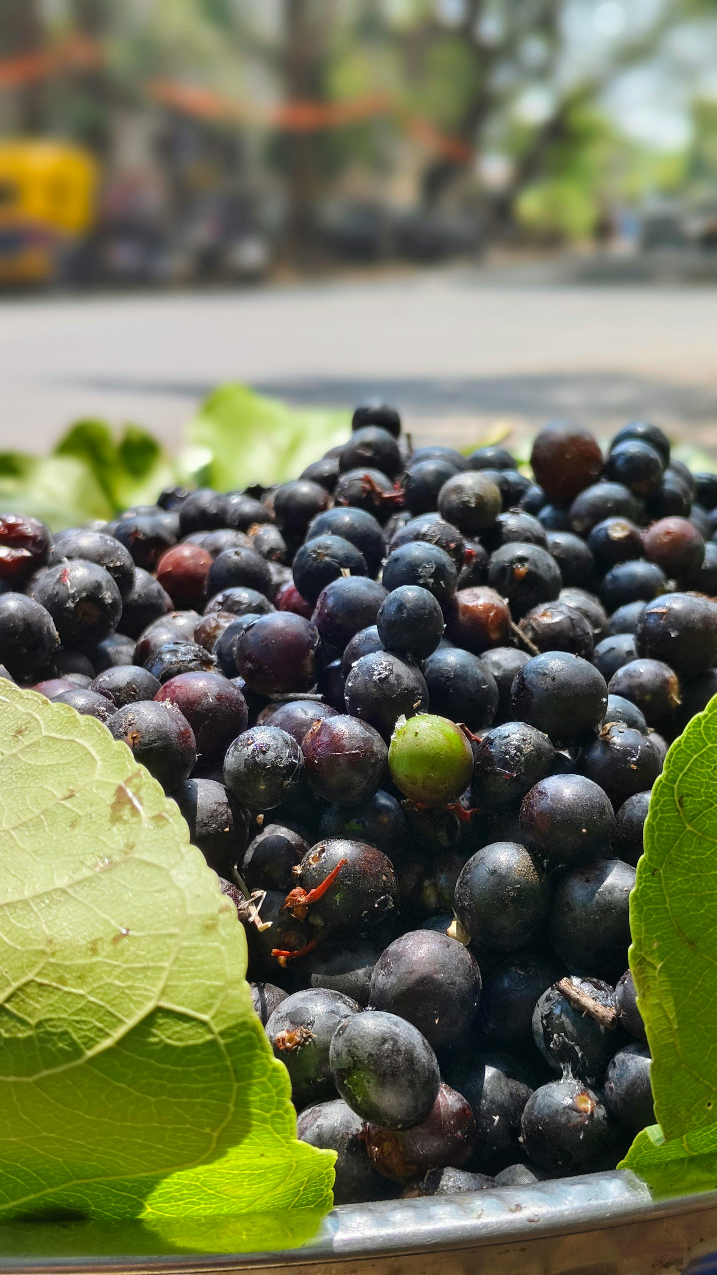 Kesar Pista Kulfi and Jamun Chia Cooler: 5 guilt-free recipes to beat heat
