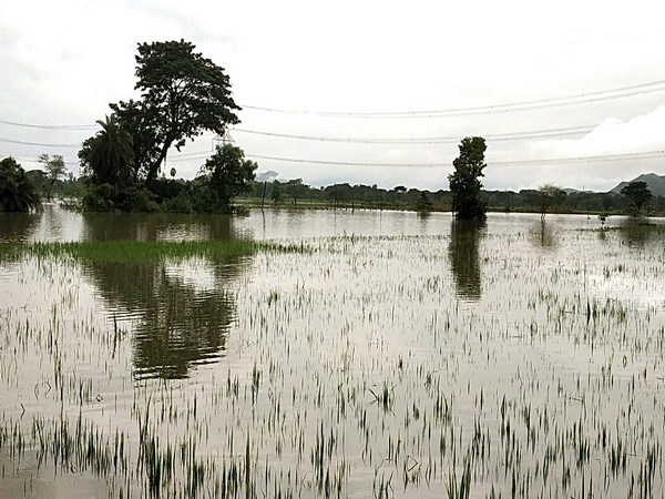IMD predicts heavy rainfall at isolated places in Coastal Andhra ...
