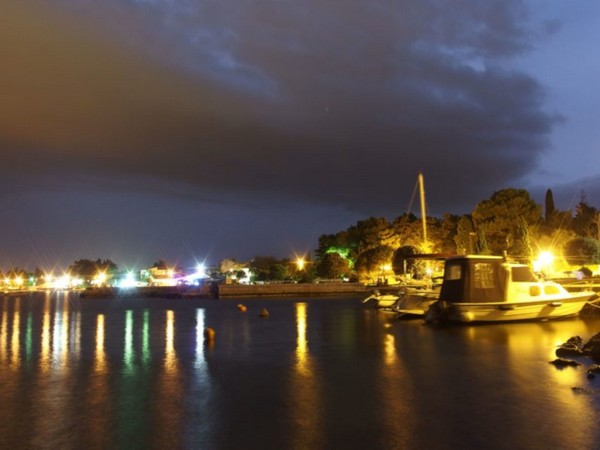 Light pollution from cities poses serious threat to coastal species