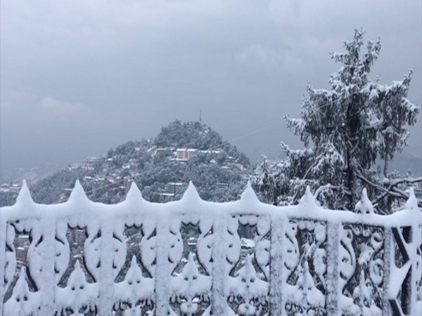Shimla delights tourists, locals as fresh snow gives city a picturesque ...