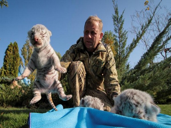 Crimean zoos offer shelter to animals from Siberian forests affected by ...